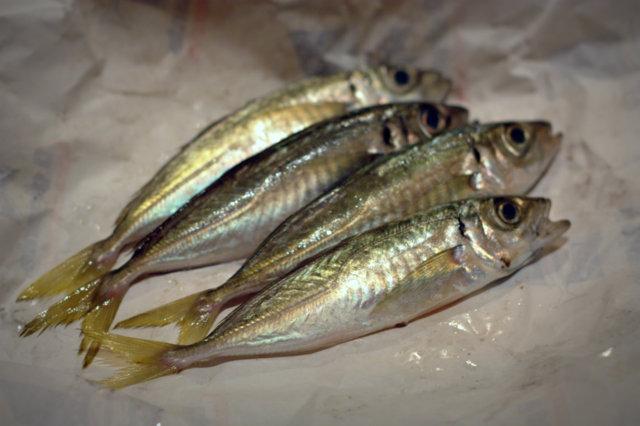 Aji Fry La Ricetta Del Sugarello Fritto Giapponese Ohayo Aji Fry La Ricetta Del Sugarello Fritto Giapponese Ohayo